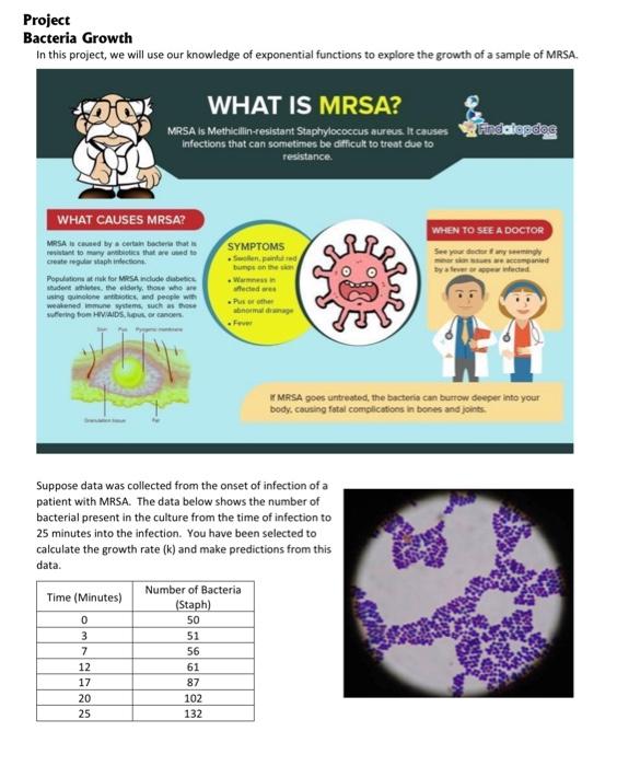 Solved Project Bacteria Growth In this project, we will use | Chegg.com