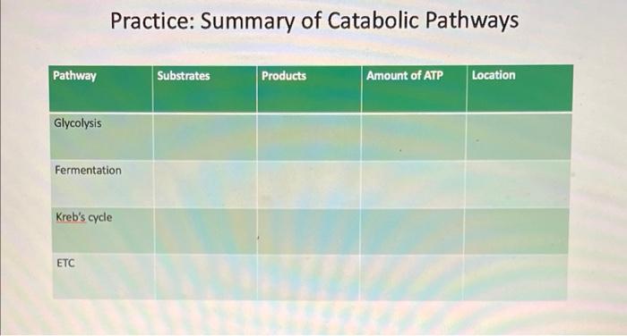 Solved Practice: Summary of Catabolic Pathways | Chegg.com