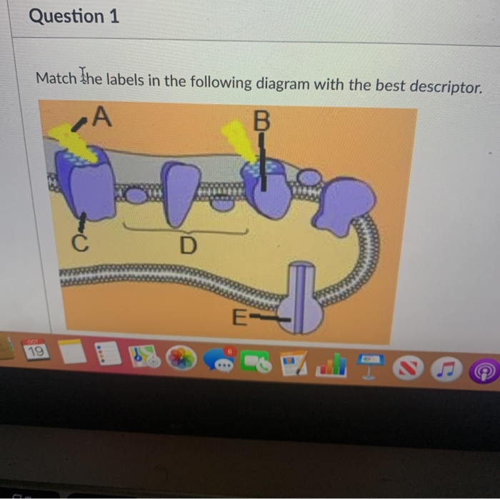 Solved Question 1 Match the labels in the following diagram | Chegg.com