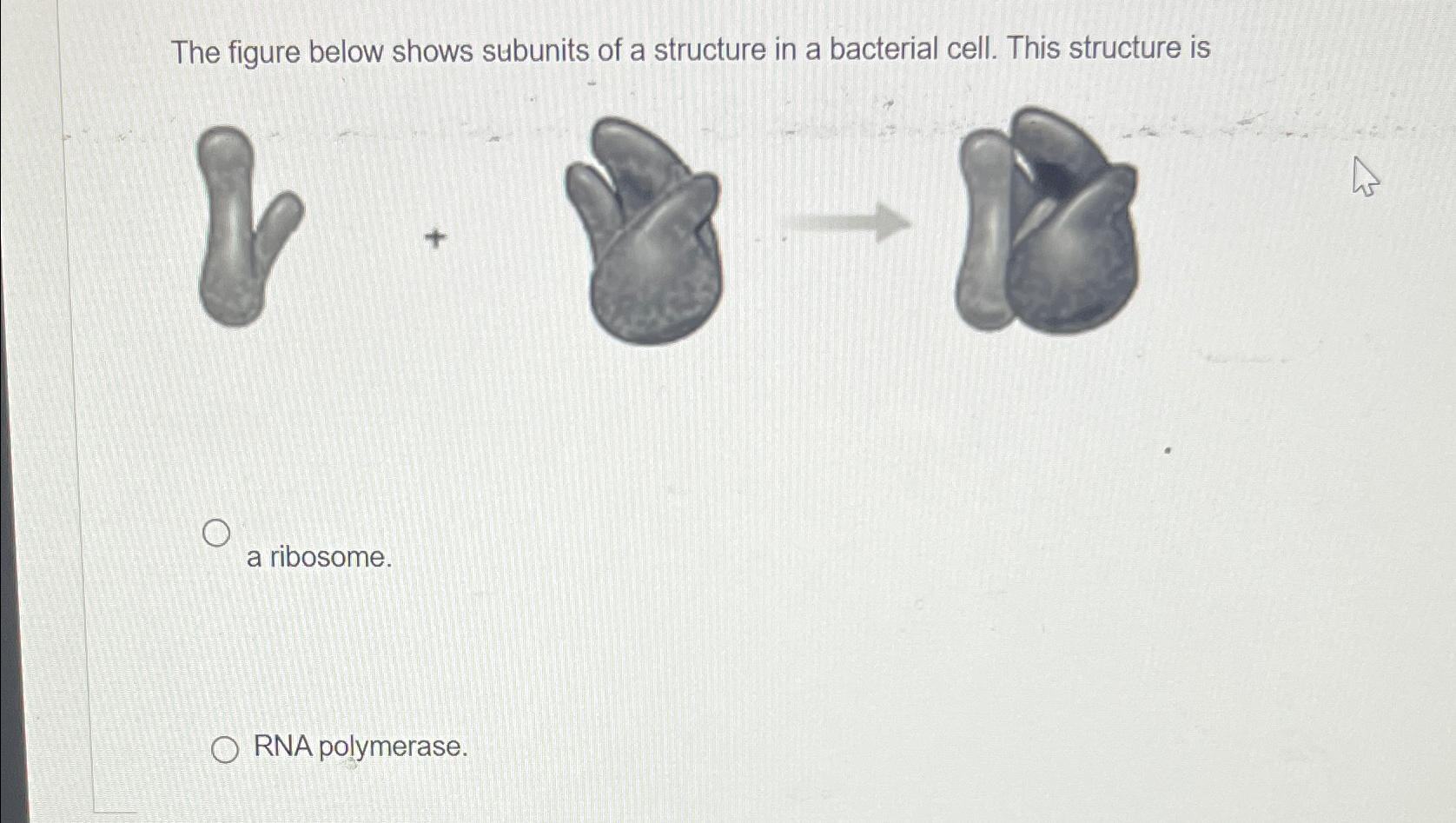 Solved The figure below shows subunits of a structure in a | Chegg.com