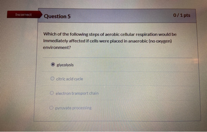 Solved rrect Question 9 0/1 pts After the citric acid cycle | Chegg.com