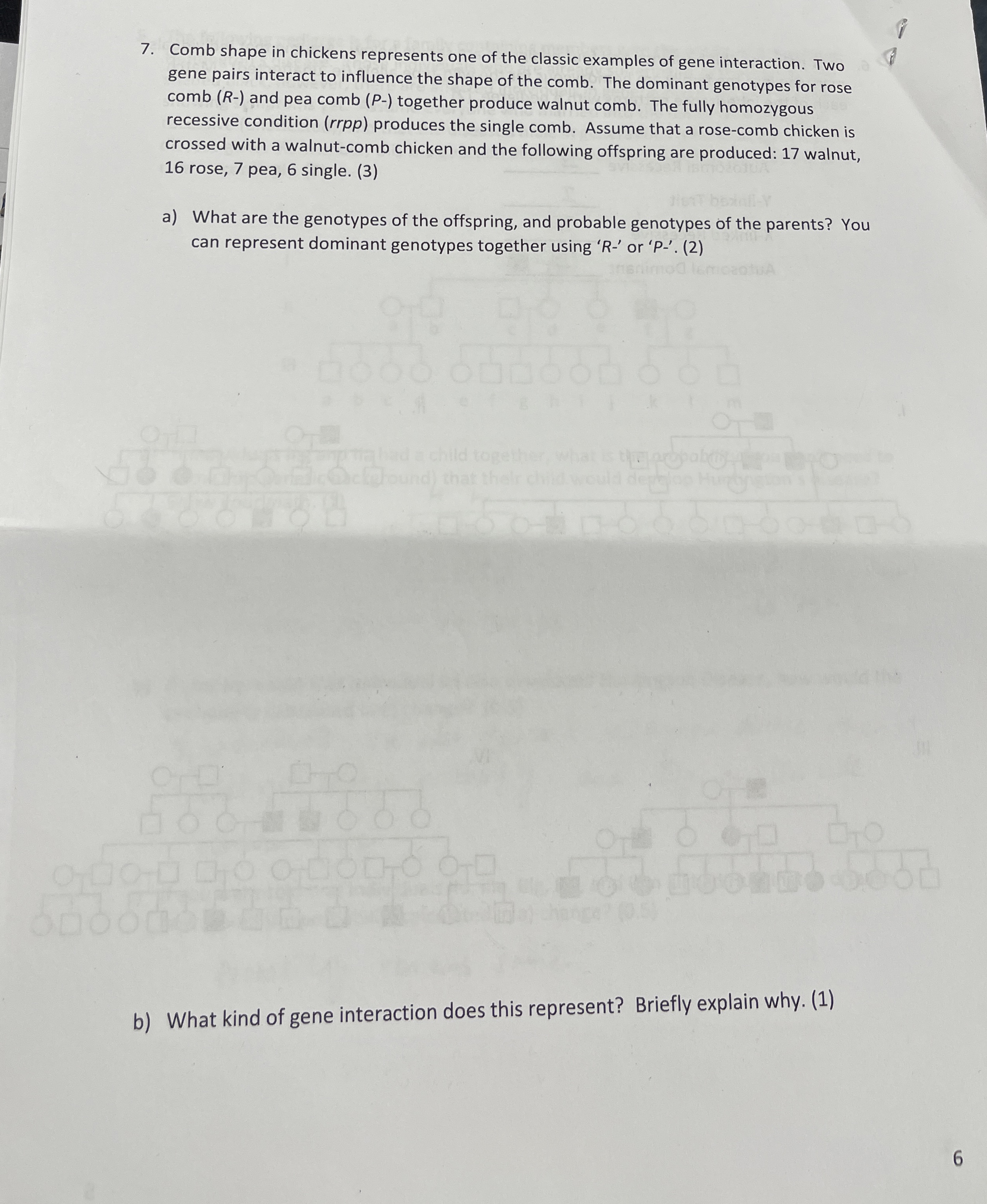 Solved Comb shape in chickens represents one of the classic | Chegg.com