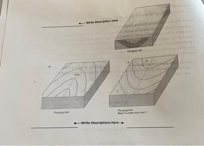 Solved Read the instructions before beginning - Answers | Chegg.com