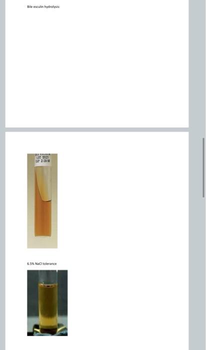 Solved The following are the results after incubation of | Chegg.com