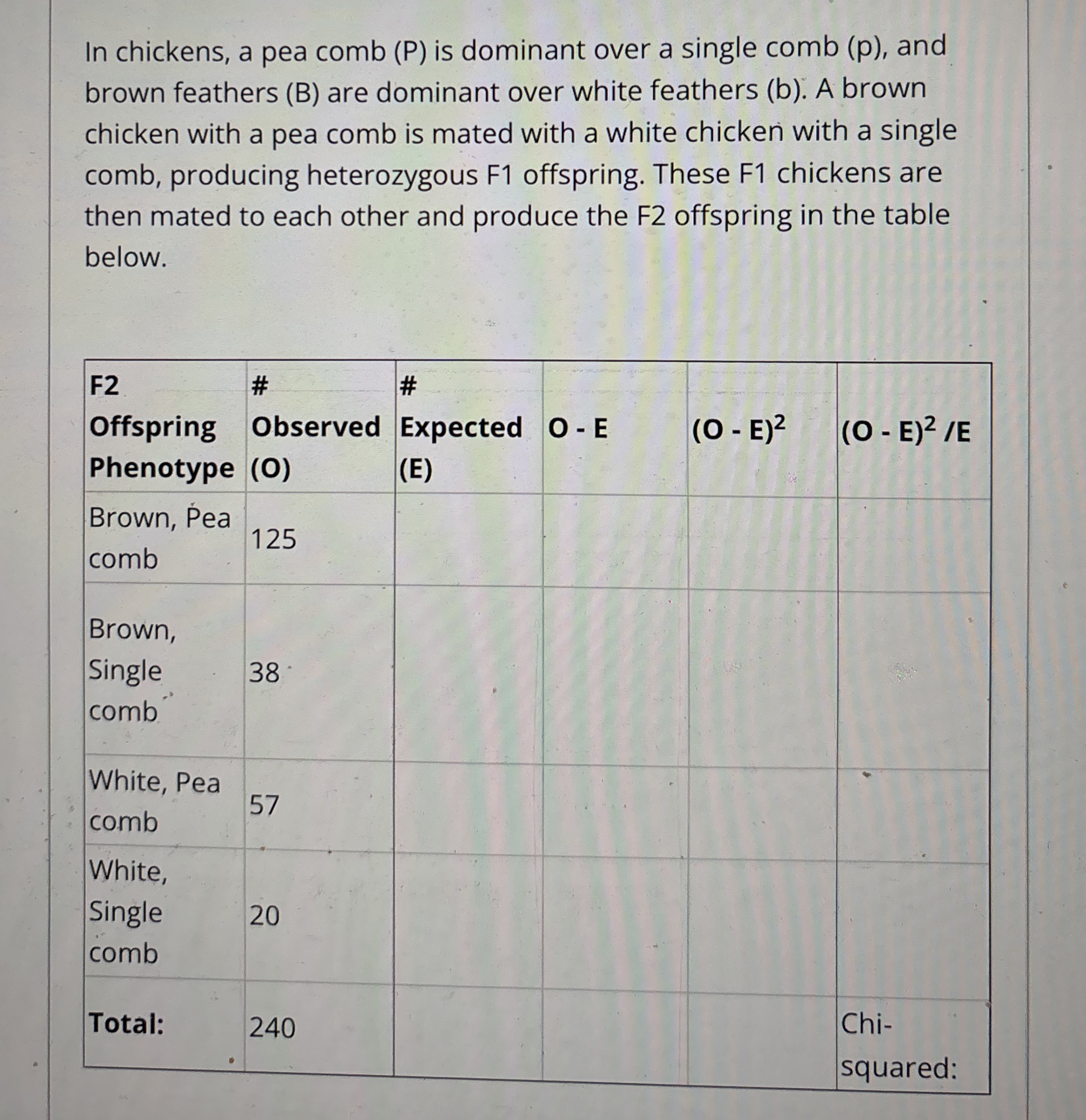 Solved In chickens, a pea comb (P) ﻿is dominant over a | Chegg.com