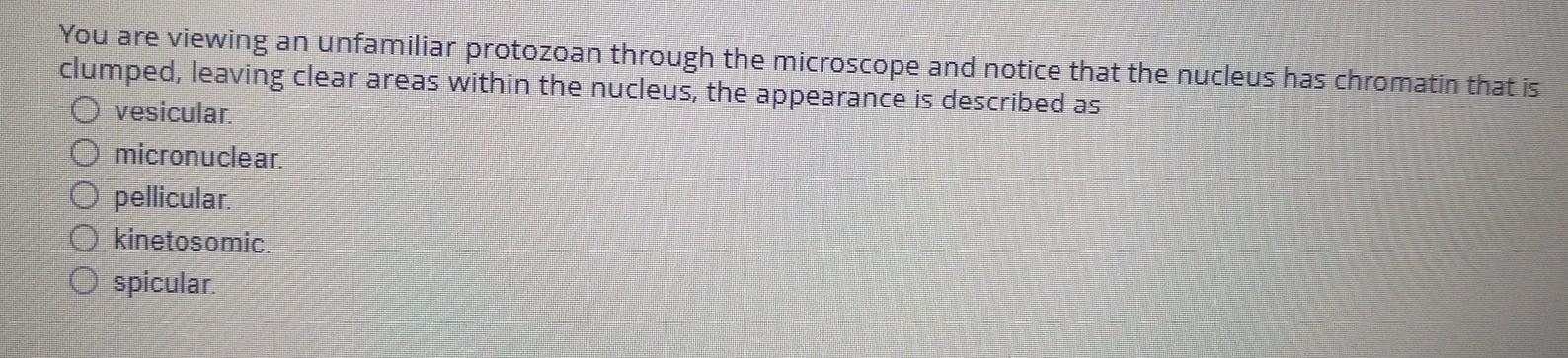 Solved You are viewing an unfamiliar protozoan through the | Chegg.com