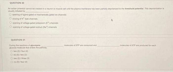 Solved The energy used to create a proton (H+)gradient in | Chegg.com