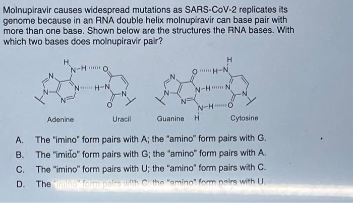 Solved Molnupiravir causes widespread mutations as | Chegg.com