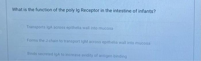 Solved What is the function of the poly Ig Receptor in the | Chegg.com