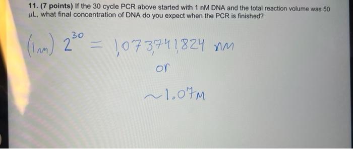 Solved 11. (7 points) If the 30 cycle PCR above started with | Chegg.com