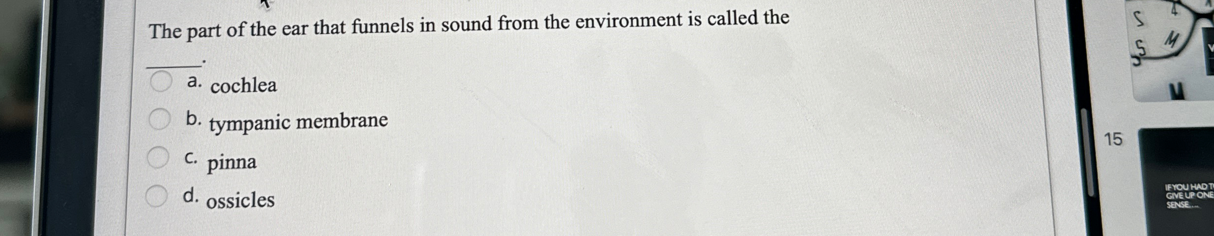 Solved The part of the ear that funnels in sound from the | Chegg.com