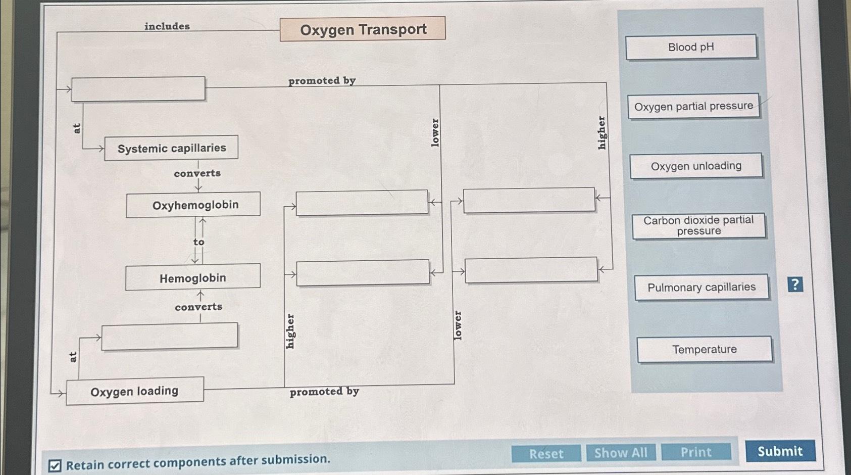 Solved Oxygen transport | Chegg.com