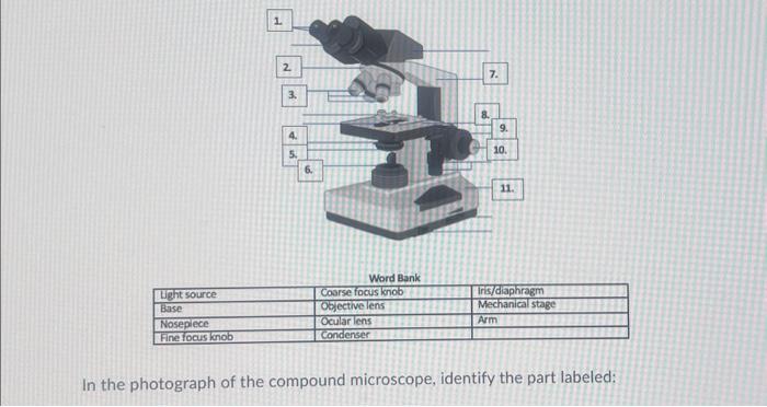 Solved In the photograph of the compound microscope, | Chegg.com