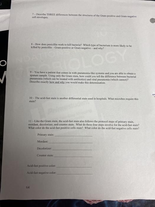 Solved Namen AM: PM: Lab Report for Smear and Gram Stain Lab | Chegg.com