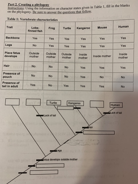 Solved Part 2. Creating a phylogeny Instructions: Using the | Chegg.com