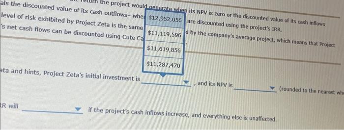 Solved The net present value (NPV) and internal rate of | Chegg.com
