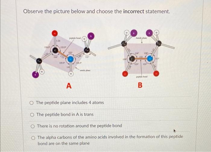 Solved Observe the picture below and choose the incorrect | Chegg.com