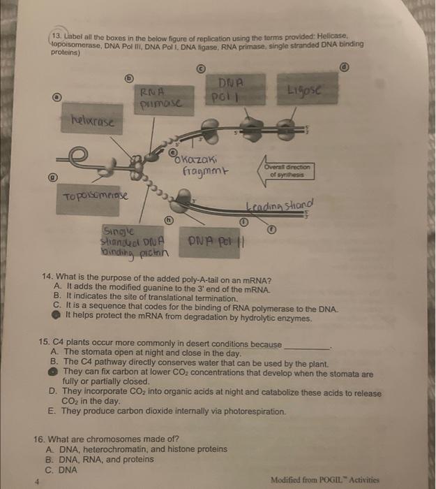 Solved 6. Once researchers identified DNA as the unit of | Chegg.com
