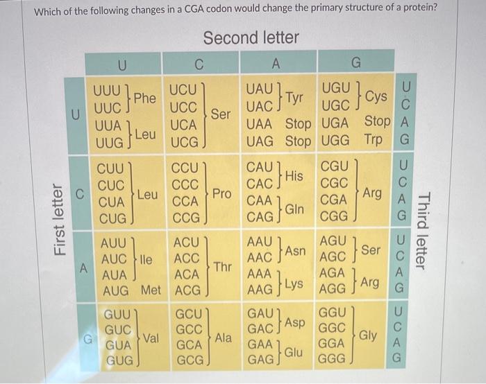 Solved Which of the following changes in a CGA codon would | Chegg.com