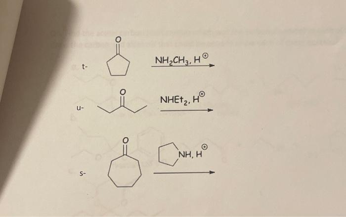 Solved t- NH2CH3,H⊙ u- NHEt2,H⊙ s- | Chegg.com