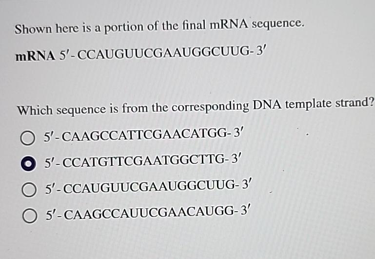 Solved Shown here is a portion of the final mRNA | Chegg.com