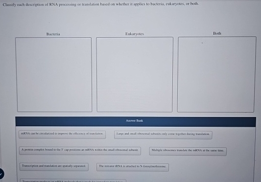 Solved Classify each description of RNA processing of | Chegg.com