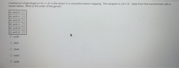 Solved A bacterium of genotype a+b+cde is the donor in a | Chegg.com