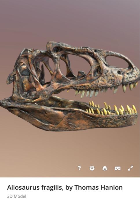 Solved The shape and uniformity of teeth are helpful | Chegg.com