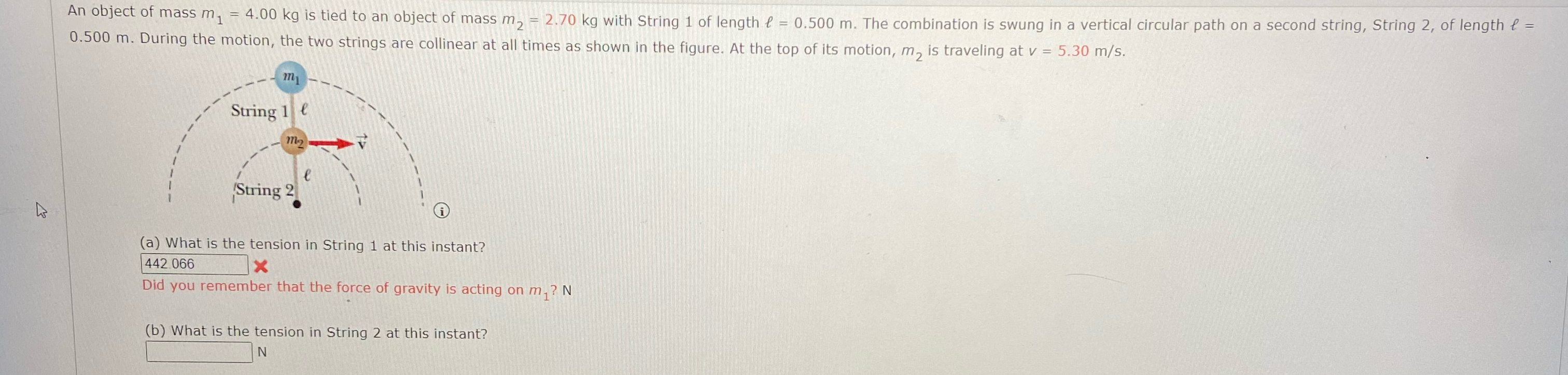 Solved 0.500m. ﻿During the motion, the two strings are | Chegg.com