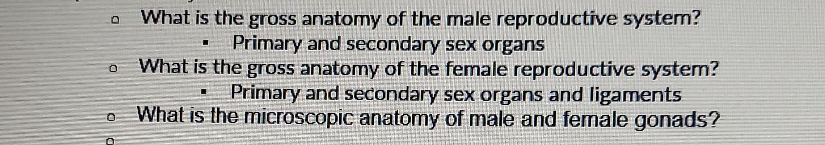 Solved What Is The Gross Anatomy Of The Male Reproductive