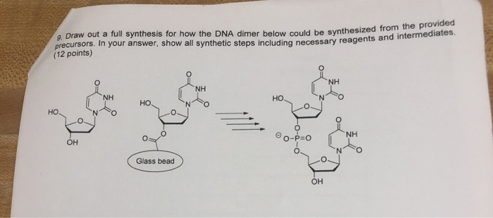 Solved Draw out a full synthesis for how the DNA dimer below | Chegg.com