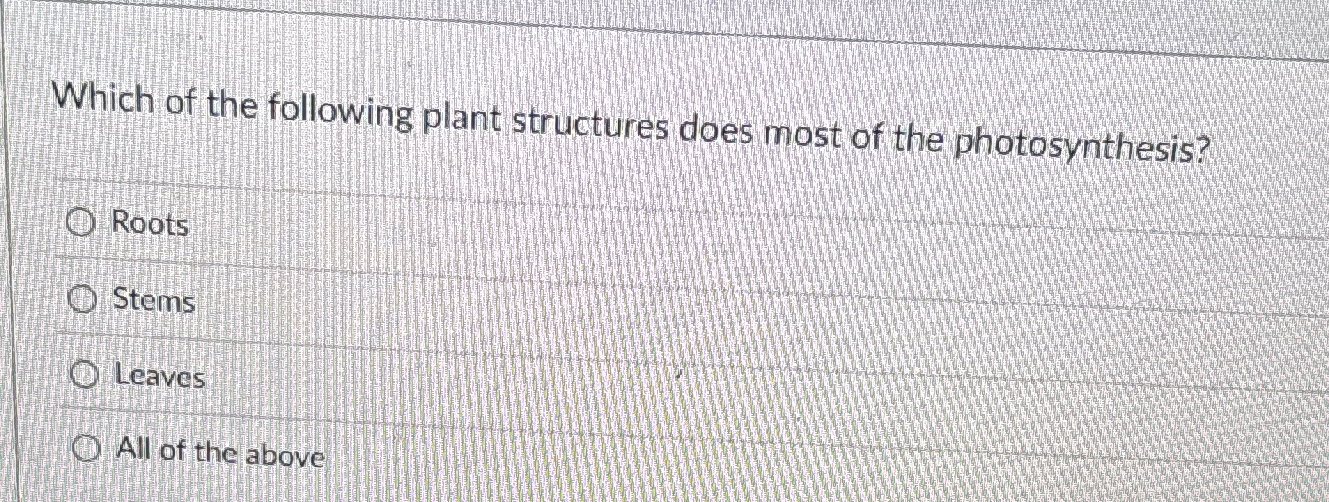 Solved Which of the following plant structures does most of | Chegg.com