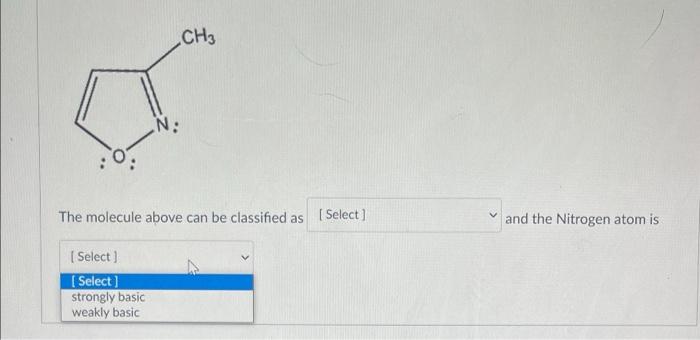Solved CH3 N: The molecule above can be classified as | Chegg.com