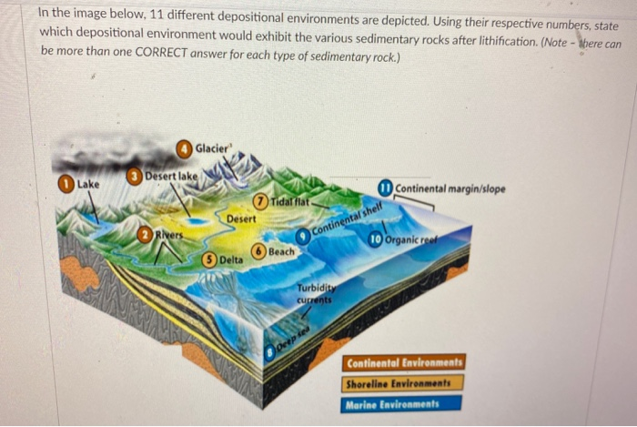 Solved In the image below, 11 different depositional | Chegg.com