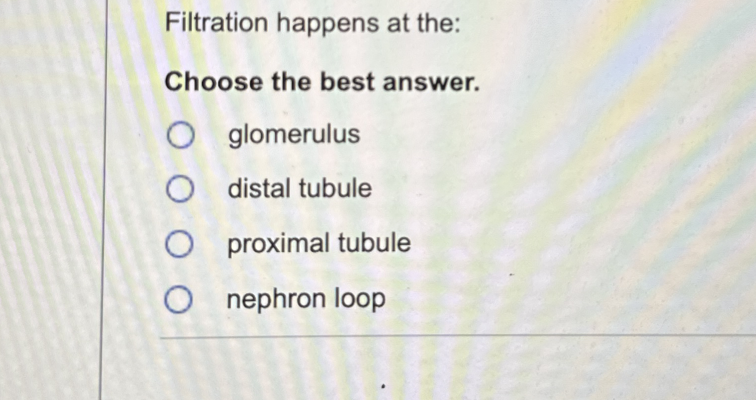 High Quality SOLUTION Filtration happens at the:Choose the best | Chegg.com