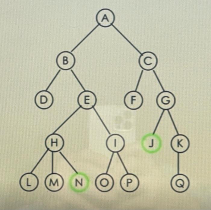 Solved Analysis of Algorithms-Breadth First Search For the | Chegg.com