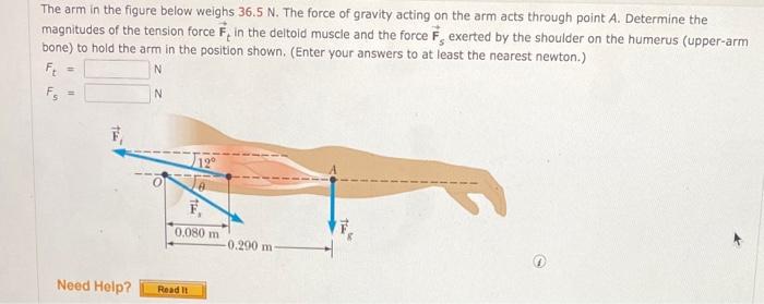 Solved The arm in the figure below weighs 36.5 N. The force | Chegg.com