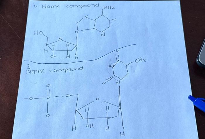 Solved 1. Name compoond NH2 2. Name compound | Chegg.com