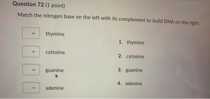 Solved Question 72 (1 point) Match the nitrogen base on the | Chegg.com