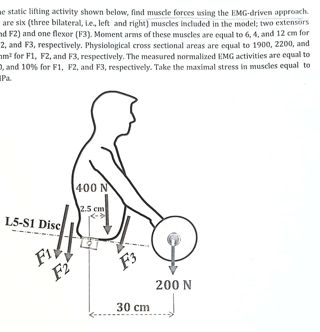 e static lifting activity shown below, find muscle | Chegg.com