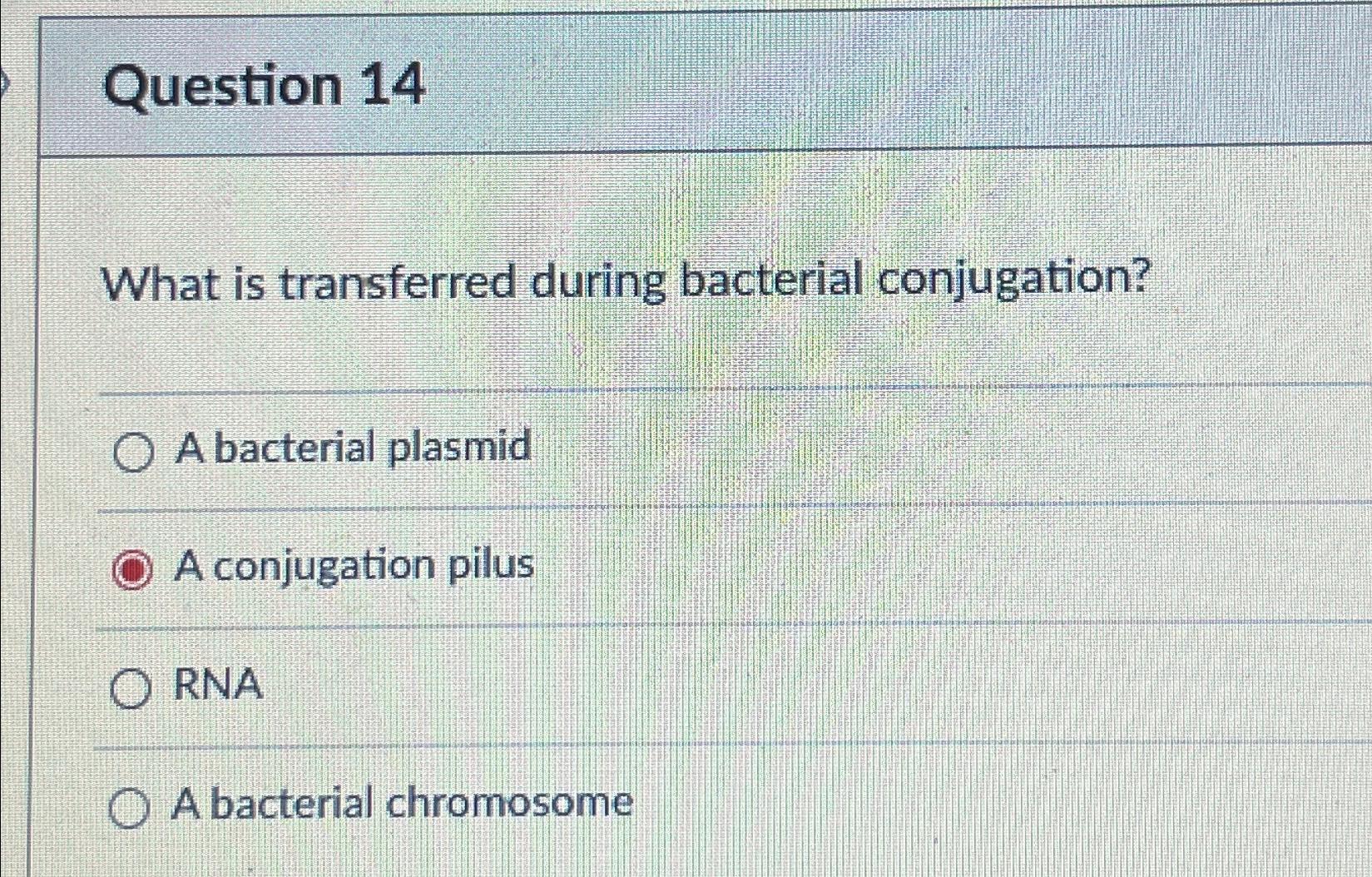 Solved Question 14What is transferred during bacterial | Chegg.com
