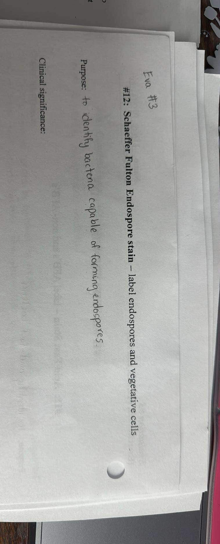 Solved Eva #3#12: Schaeffer Fulton Endospore stain - ﻿label | Chegg.com