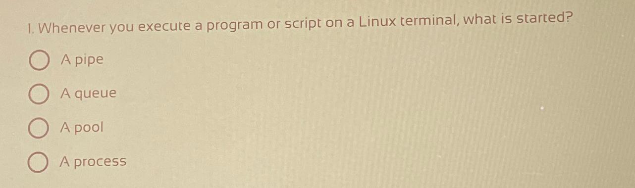 Solved Whenever You Execute A Program Or Script On A Linux
