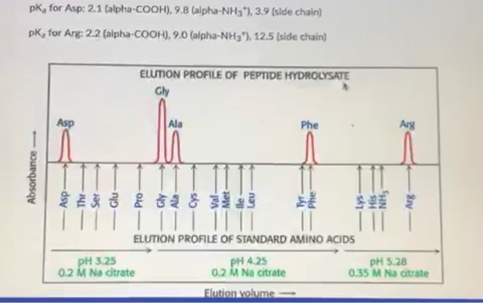pK, for Asp: 21 (alpha-COOH), 9.8 (alpha-NH3"), 3.9 | Chegg.com