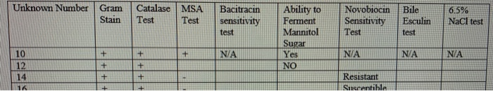 Solved Unknown Number Gram Stain Catalase MSA Test Test | Chegg.com