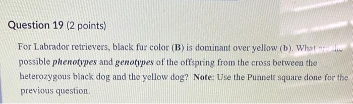 Solved Question 19 (2 points) For Labrador retrievers, black | Chegg.com