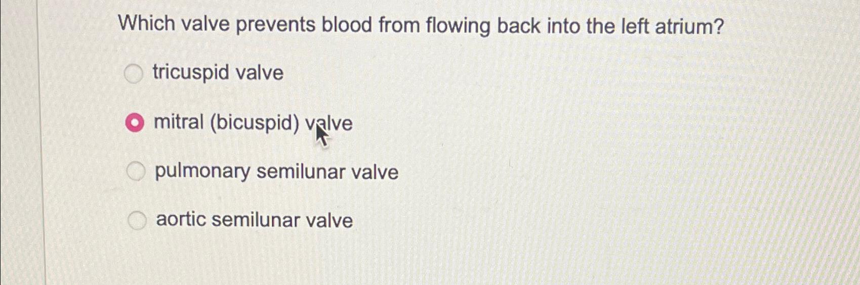 Solved Which valve prevents blood from flowing back into the | Chegg.com