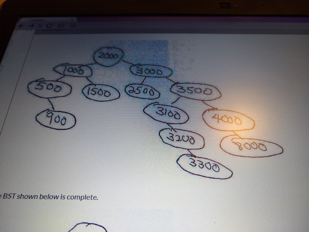 Solved (5080 (3100) 3200 మం (3300 BST shown below is | Chegg.com