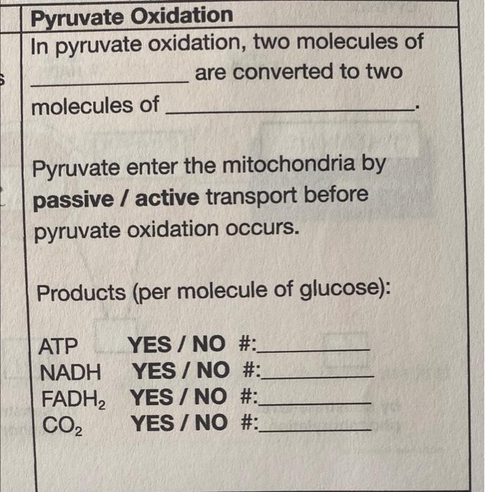 Solved Pyruvate Oxidation In pyruvate oxidation, two | Chegg.com