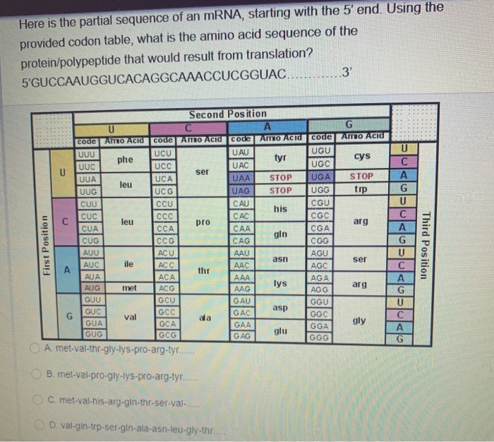 Solved Here is the partial sequence of an mRNA, starting | Chegg.com